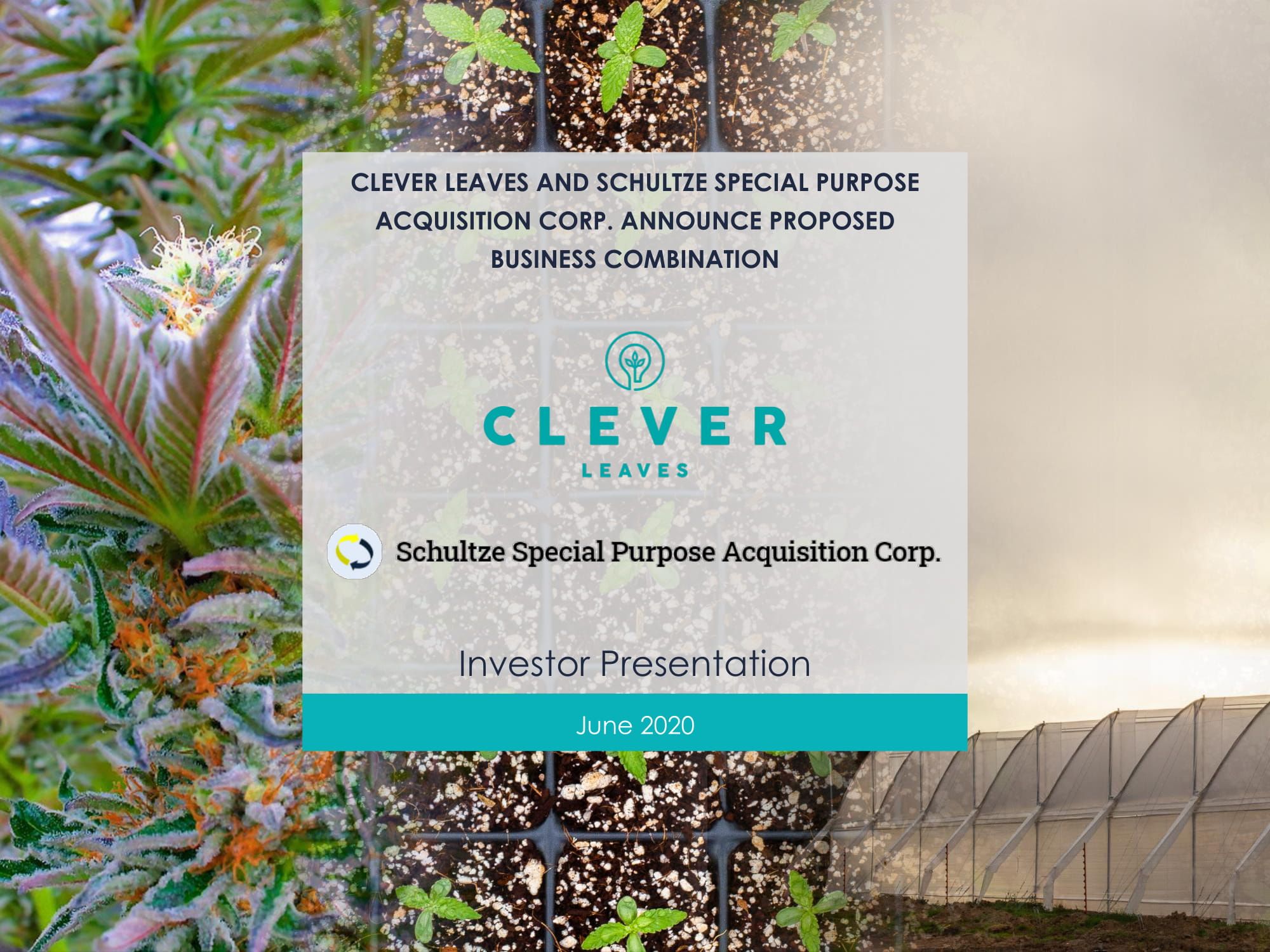 Clever Leaves