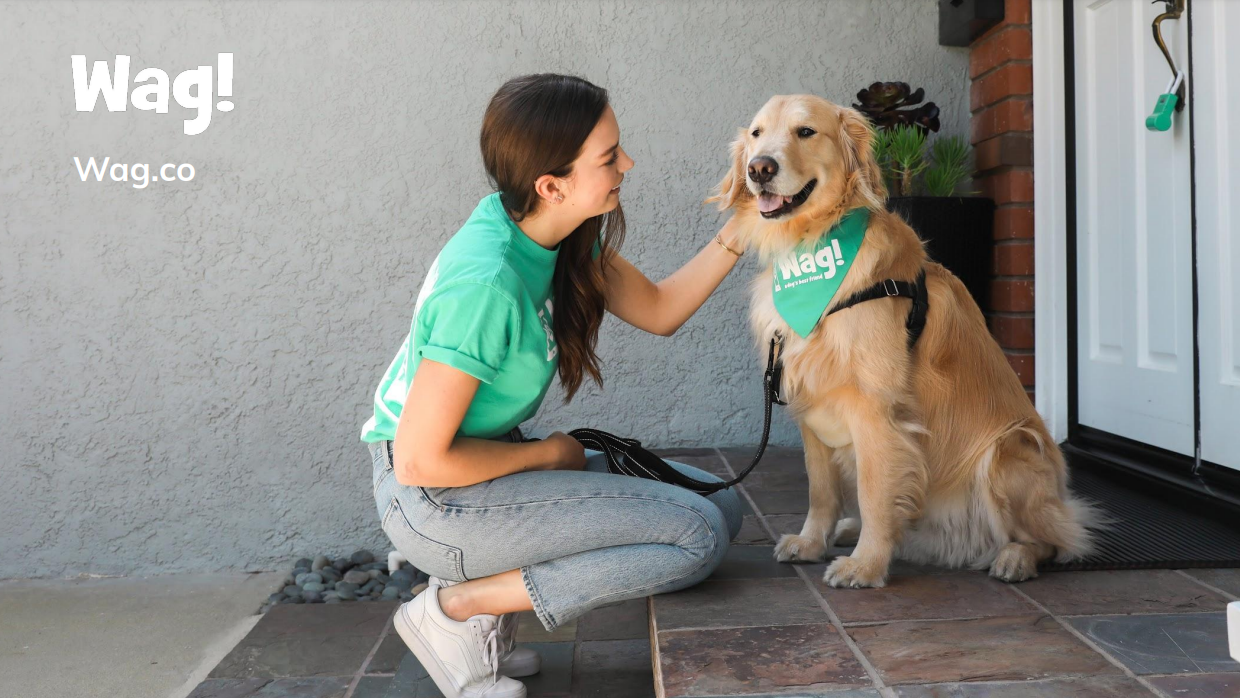 Wag Labs (PET) via CHW Acq (CHWA) deck